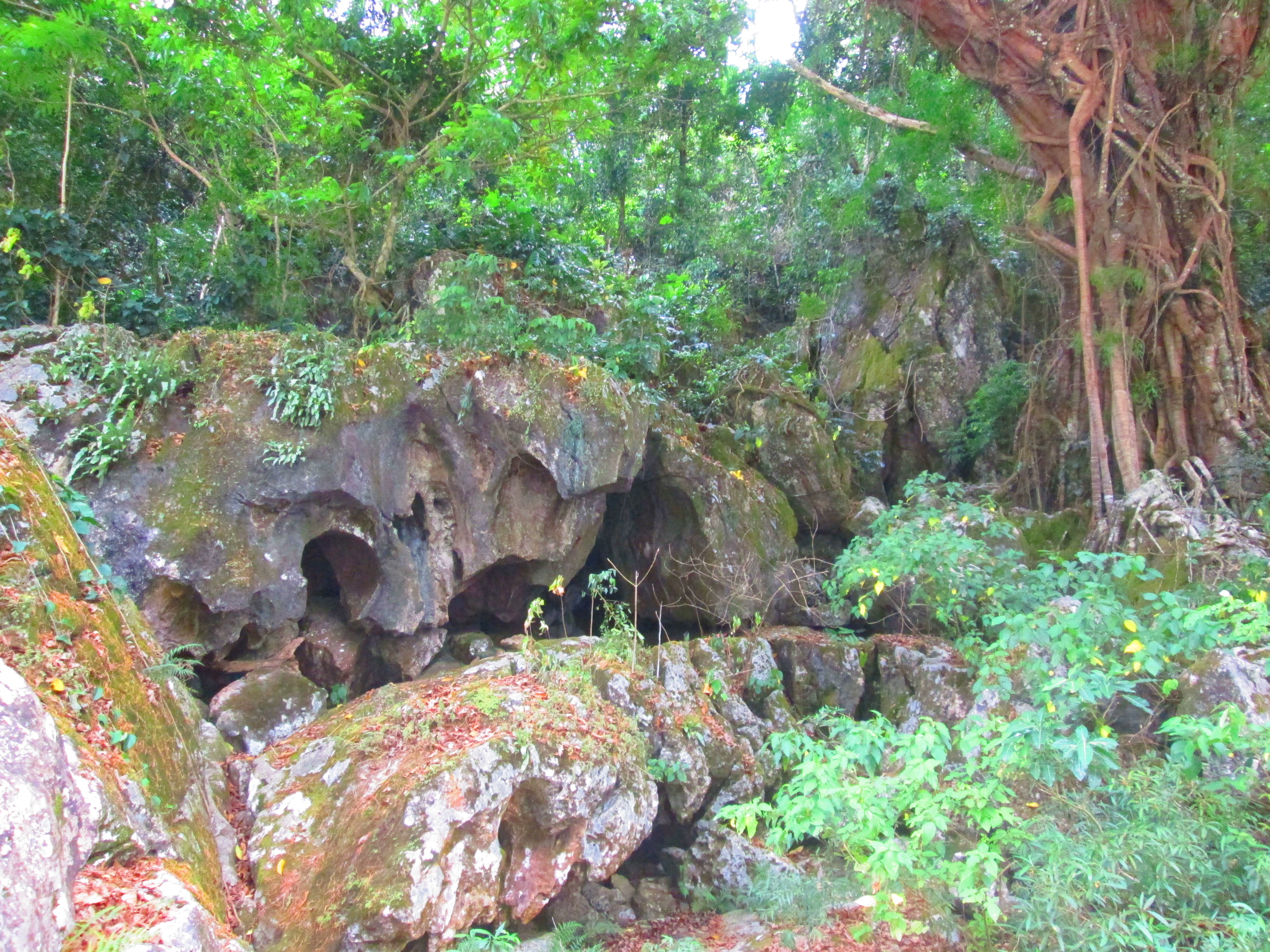 Daraitan Cave - Tanay