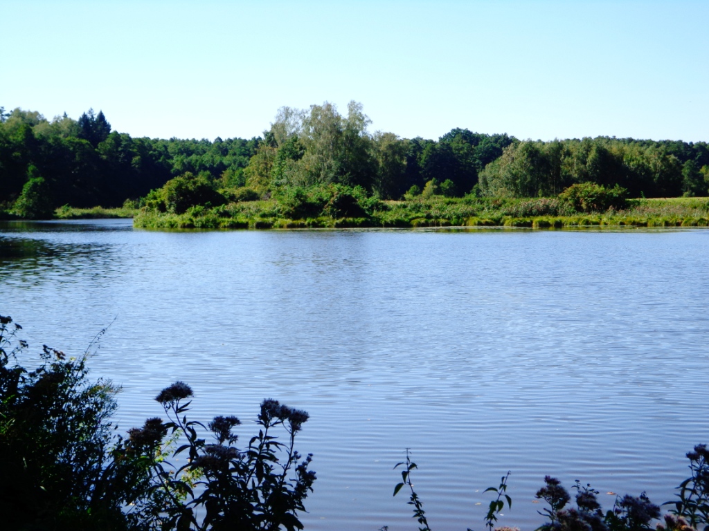 Zbiornik Lisowice - Lisowice