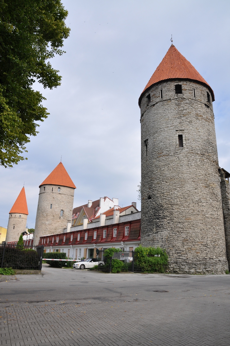 The Tower of Plate - Tallinn