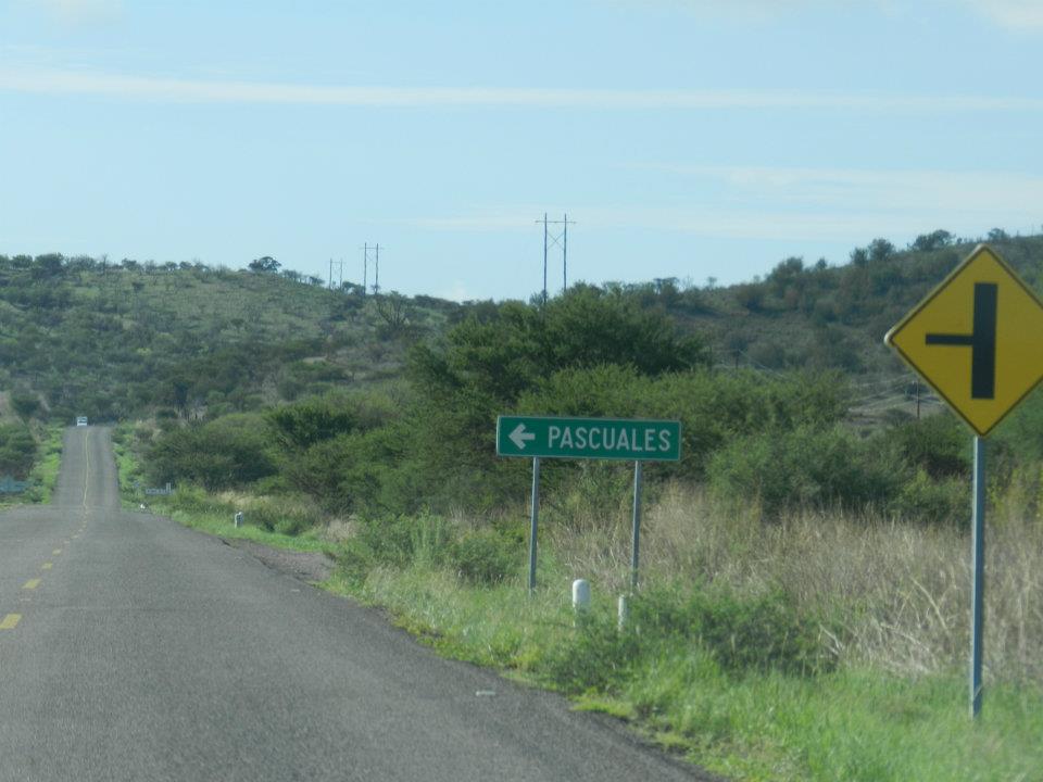 Pascuales