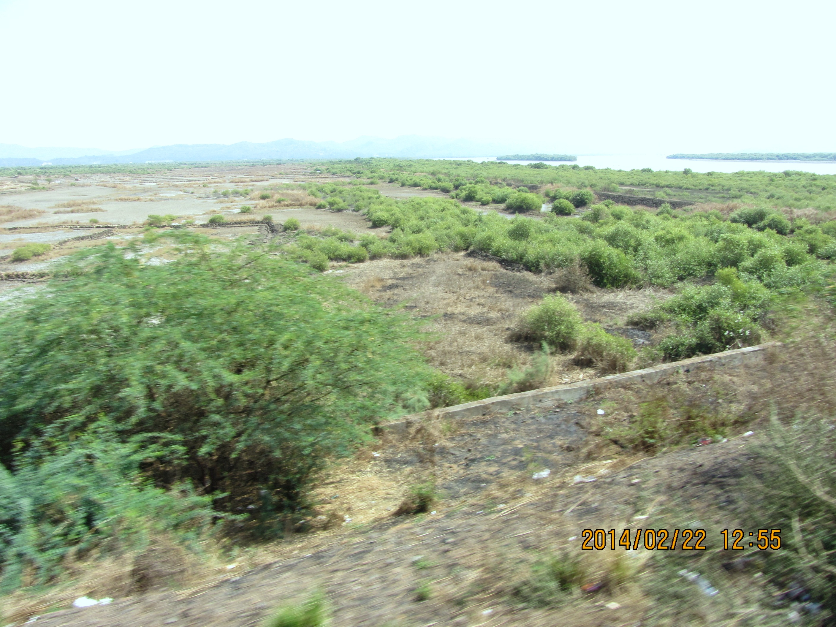 Panju Island