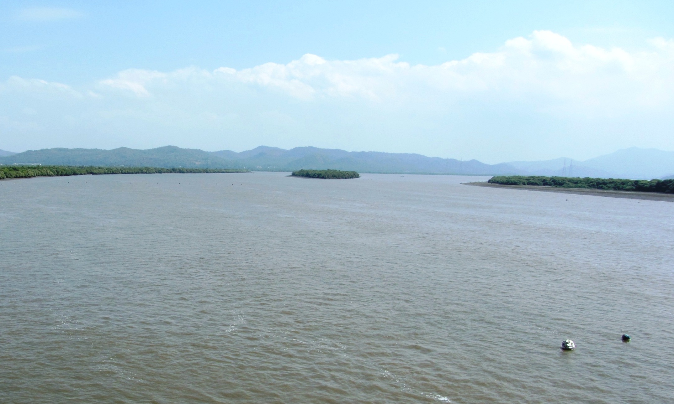 Panju Mangroves Island - 2