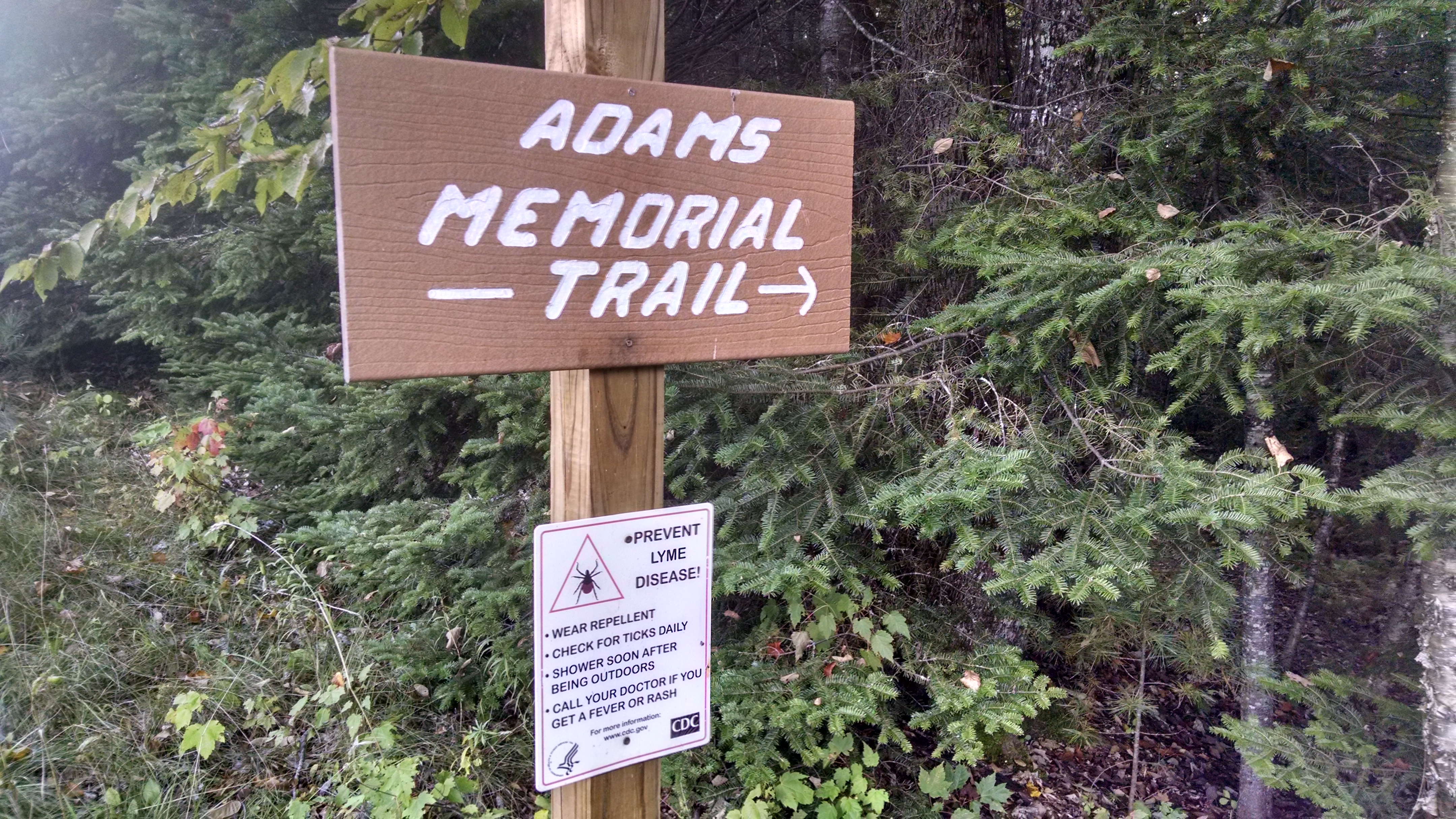 Adams Trail