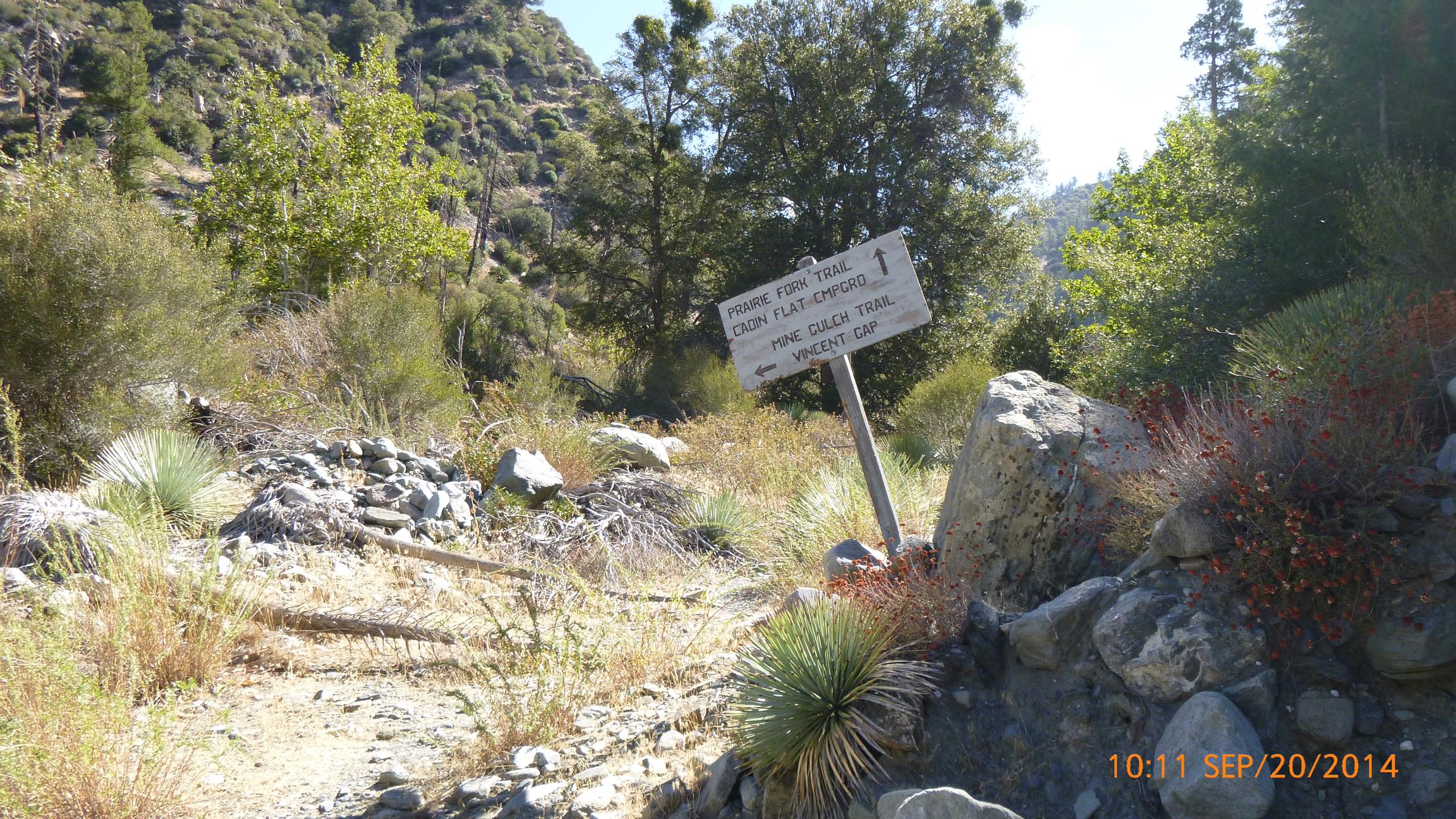 Cabin Flat Trail Camp