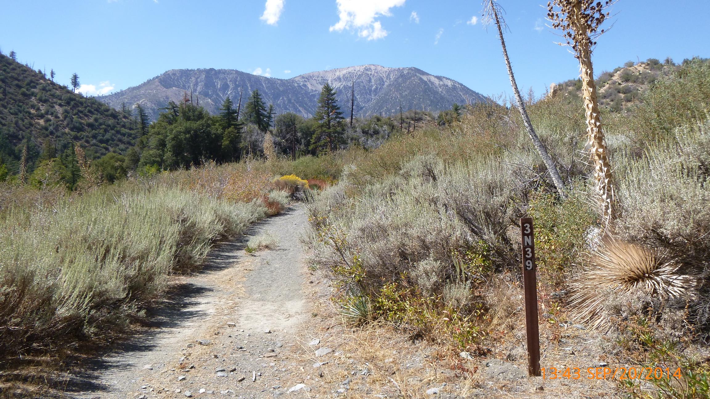 Cabin Flat Trail Camp
