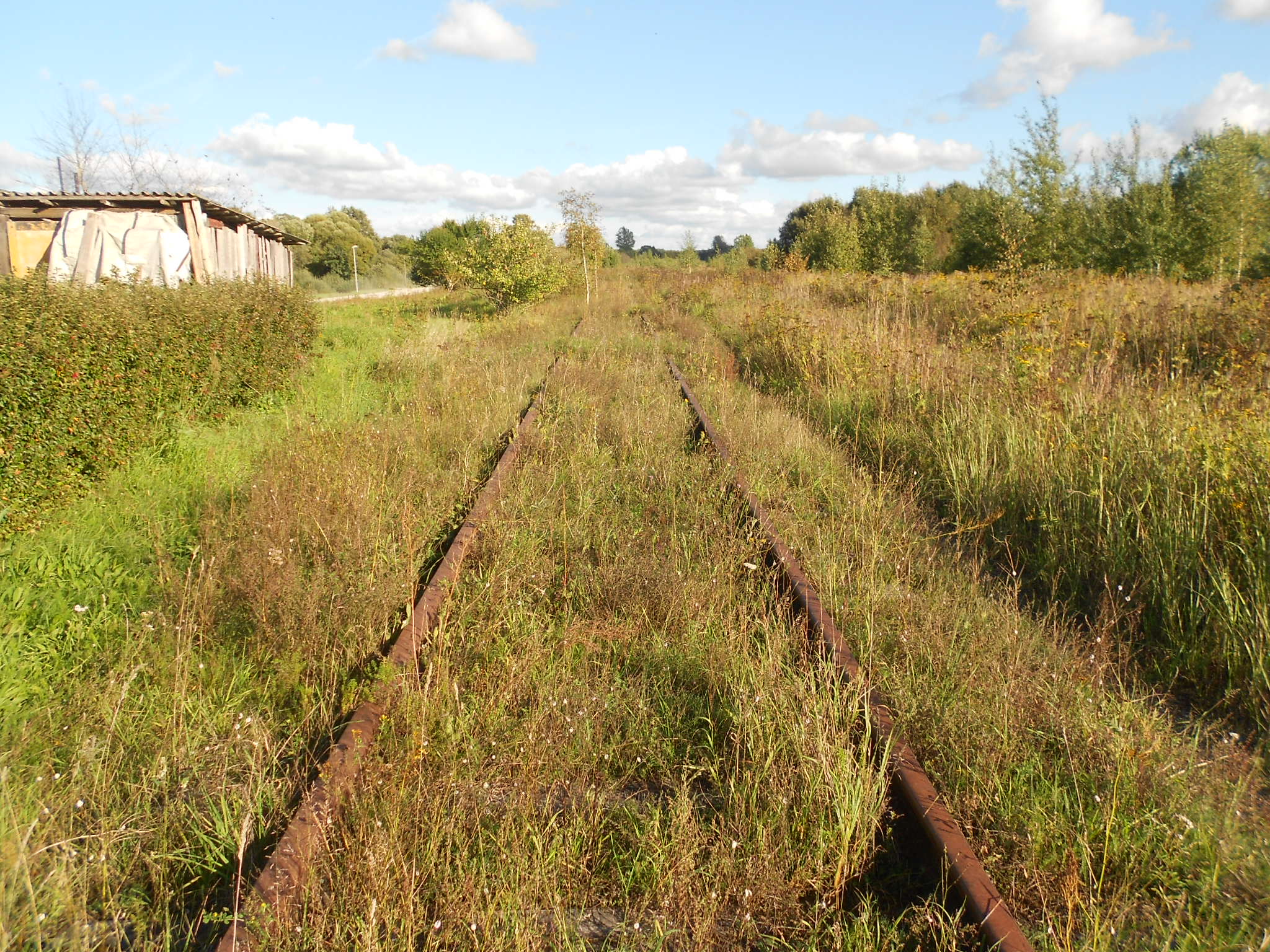 Priekule railway station - Priekule