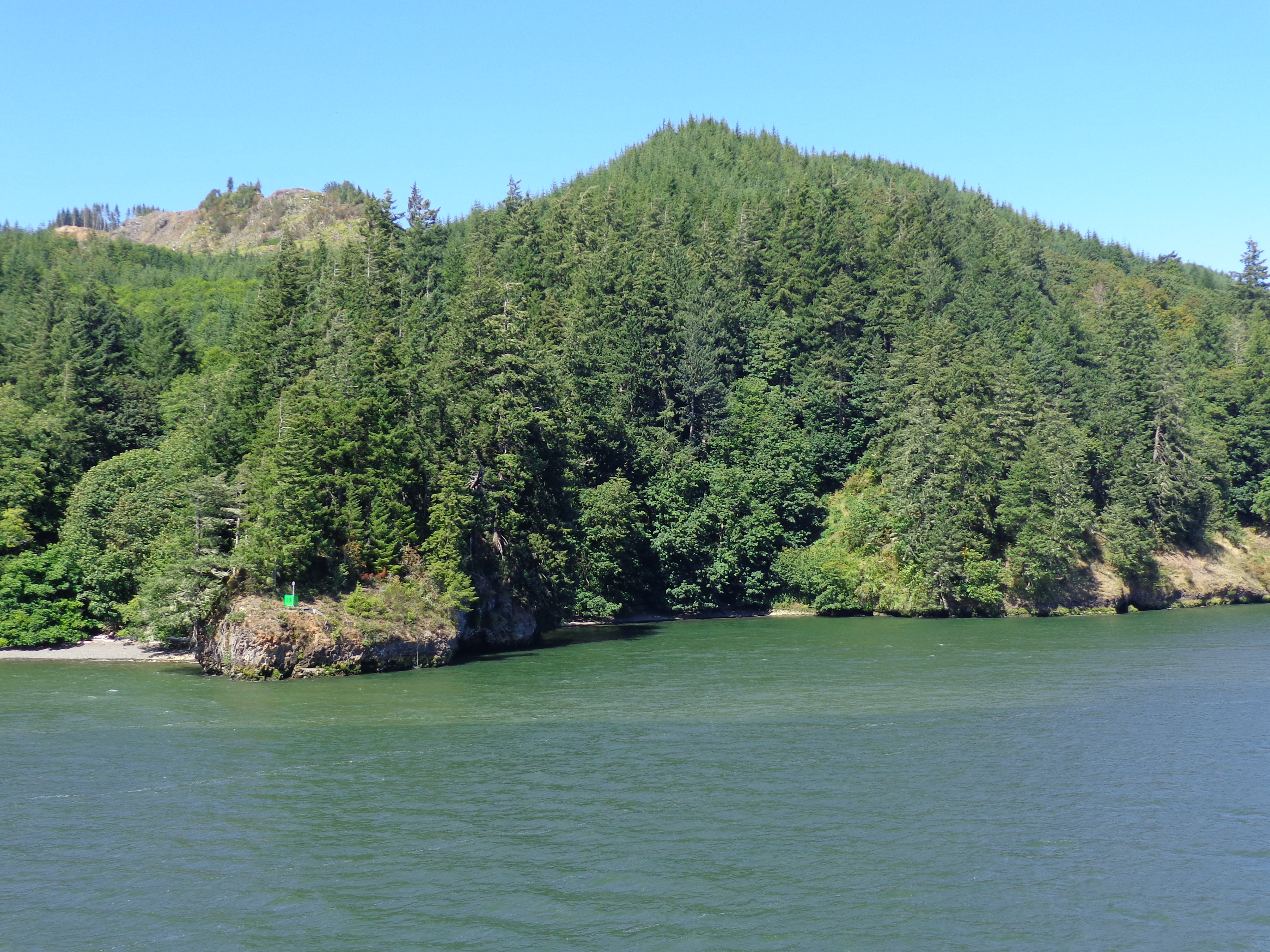 Three Tree Point
