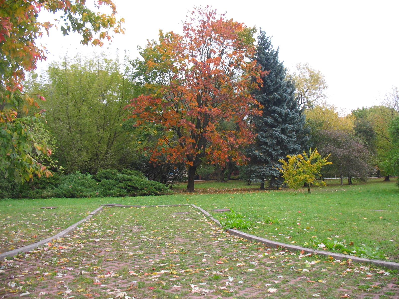 Skwer im. Szarych Szeregów - Kielce