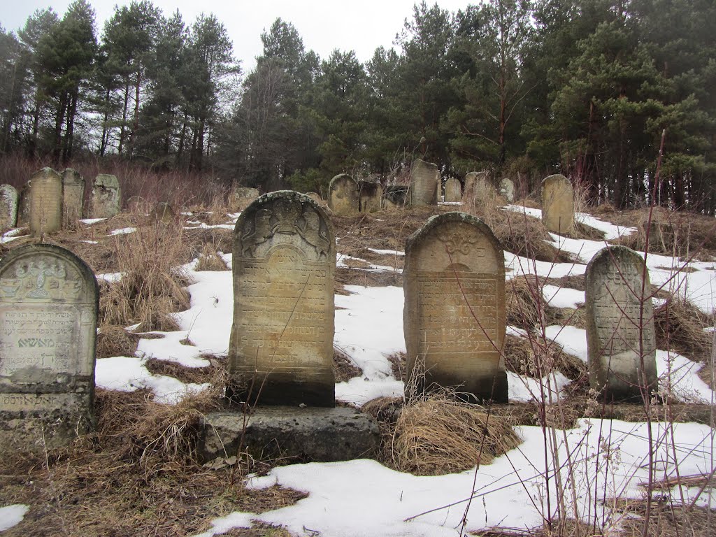 Staryy Sambir Jewish Cemetery