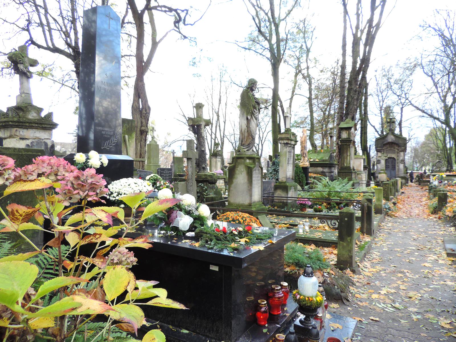 The tomb of Marek Kurowski - Warsaw