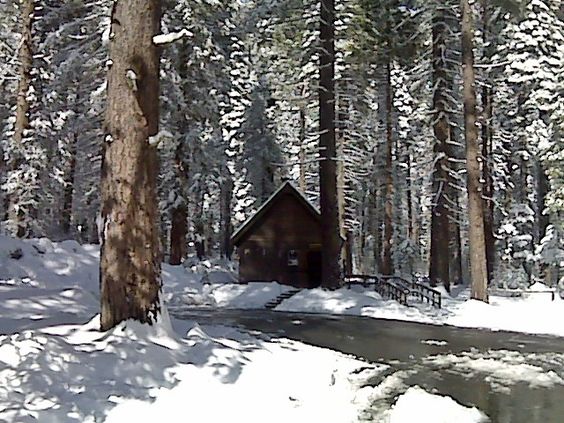 Arnold, California | community, CDP - Census Designated Place