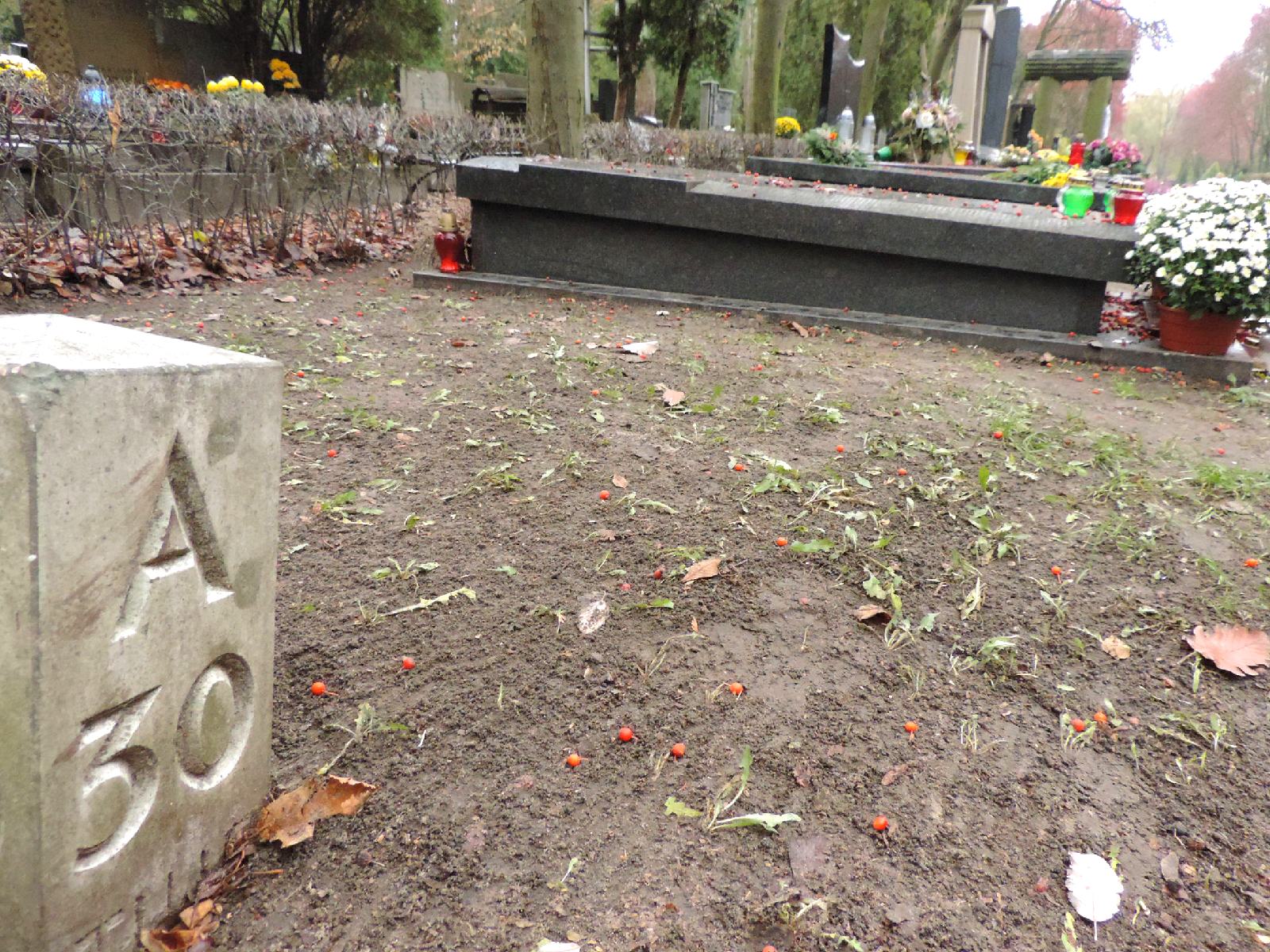 The Tomb of Lucjan Kydryński - Warsaw