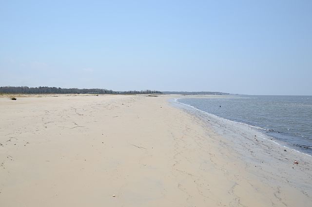 Delaware Bay