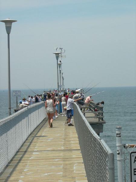 Seagull Fishing Pier