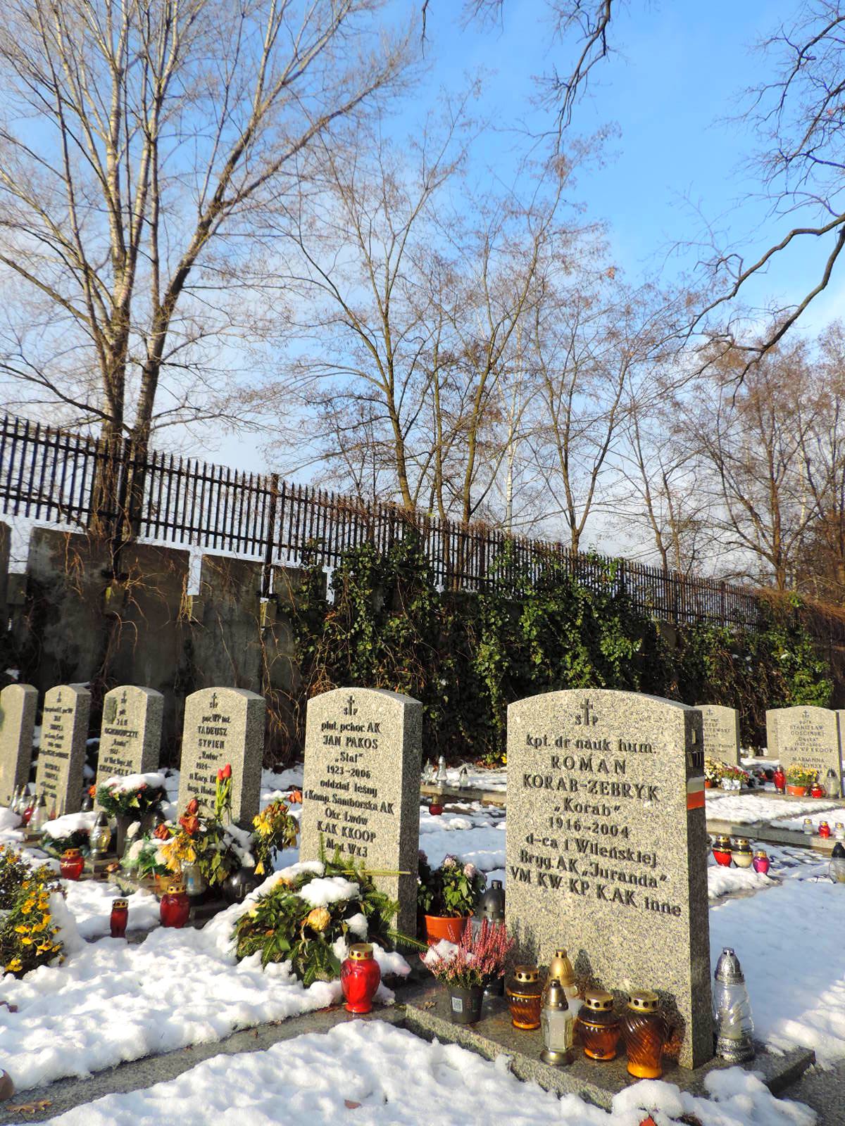 Quarter D18 Left - Warsaw