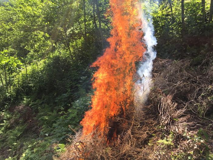 Rize Çayeli Yeşilırmak Köyü - Rize İli