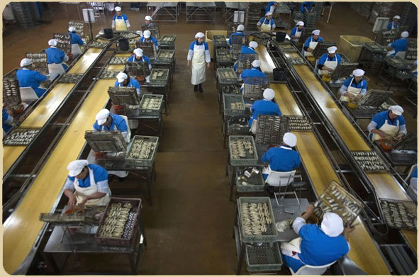 UNIMER-ETAMAR/Établissement Marocain Béziers - Anza