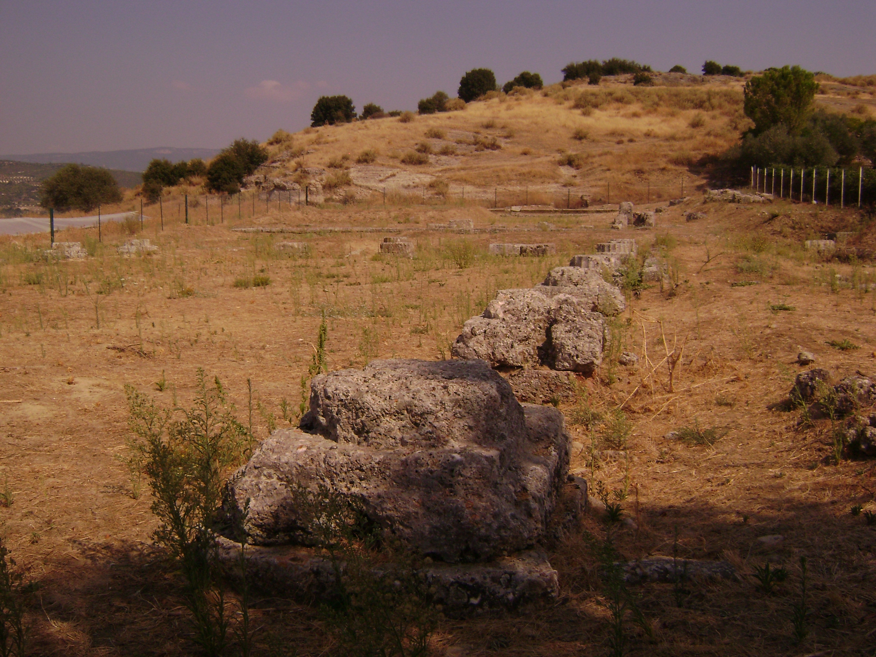 Ancient Phleious