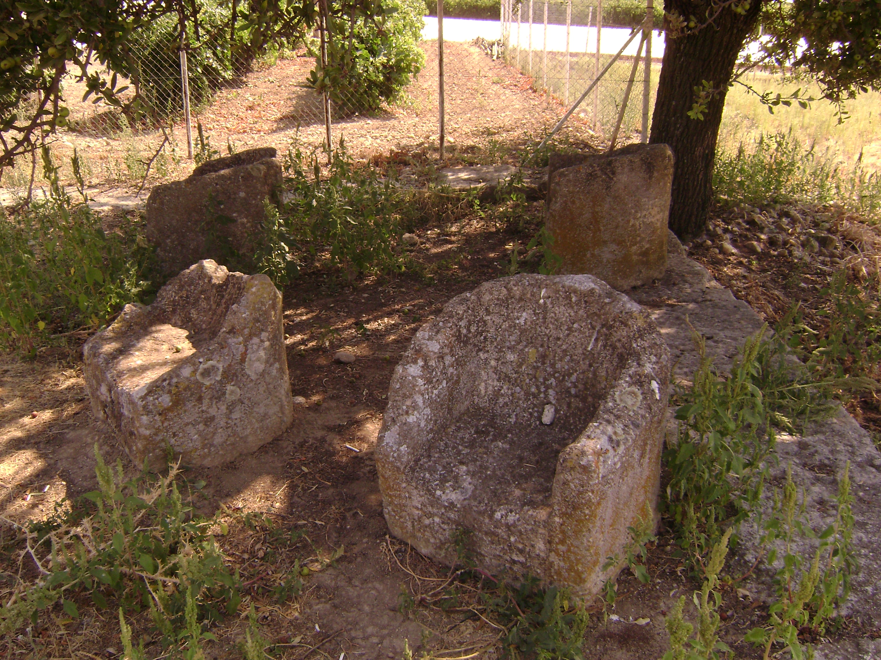 Ancient Phleious