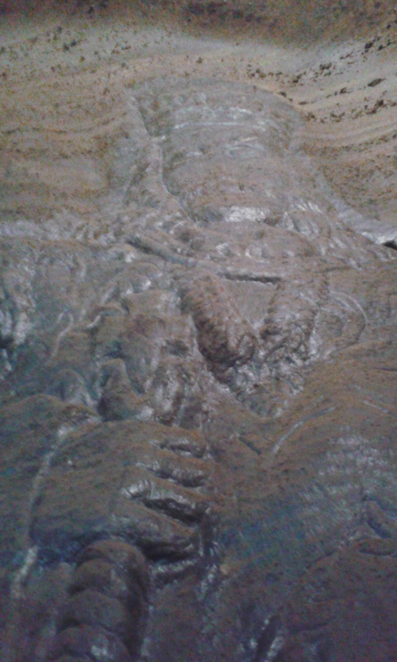 Mina Veche Cacica - Cacica