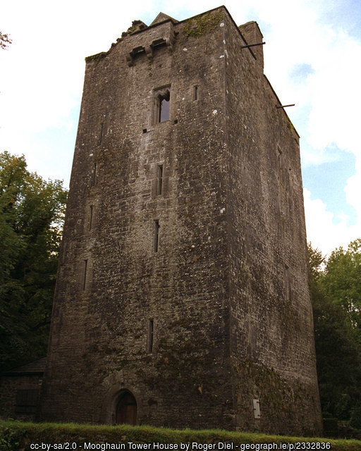 Mooghaun Tower House