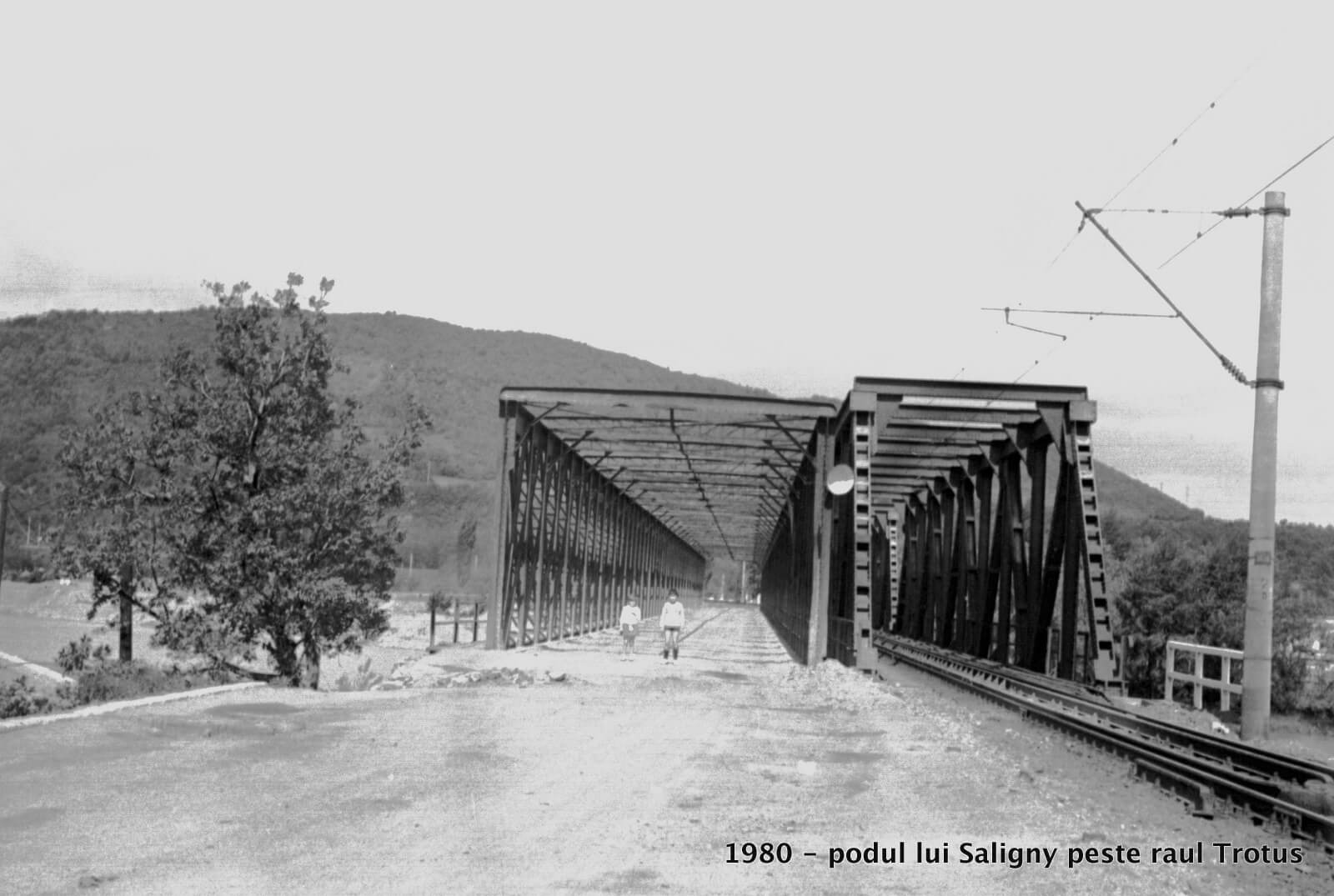 The first combinied bridge build by civil engineer Anghel Saligny ...