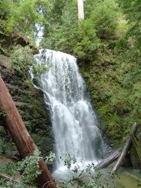 Big Basin Redwoods State Park