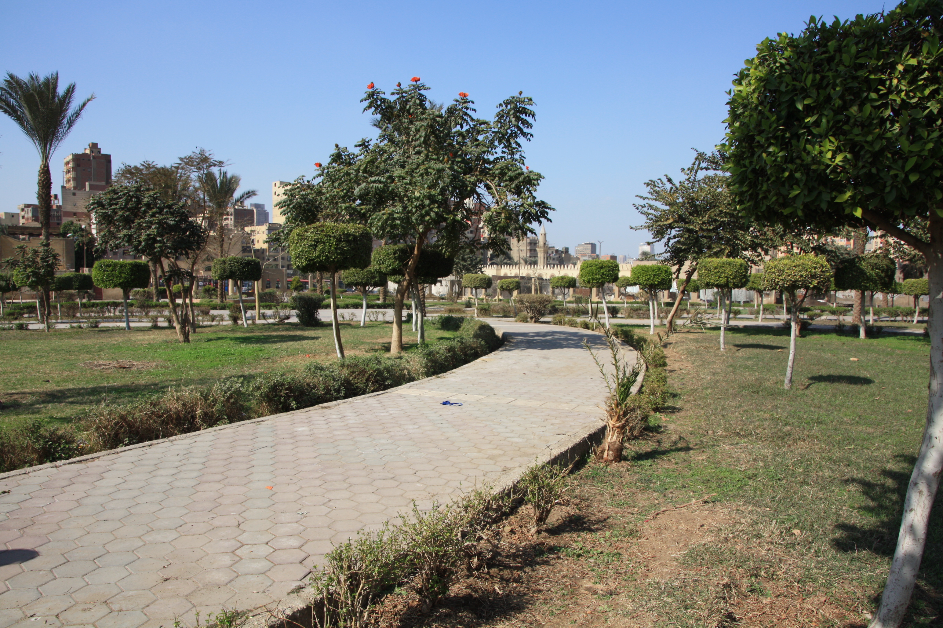 Garden - Cairo
