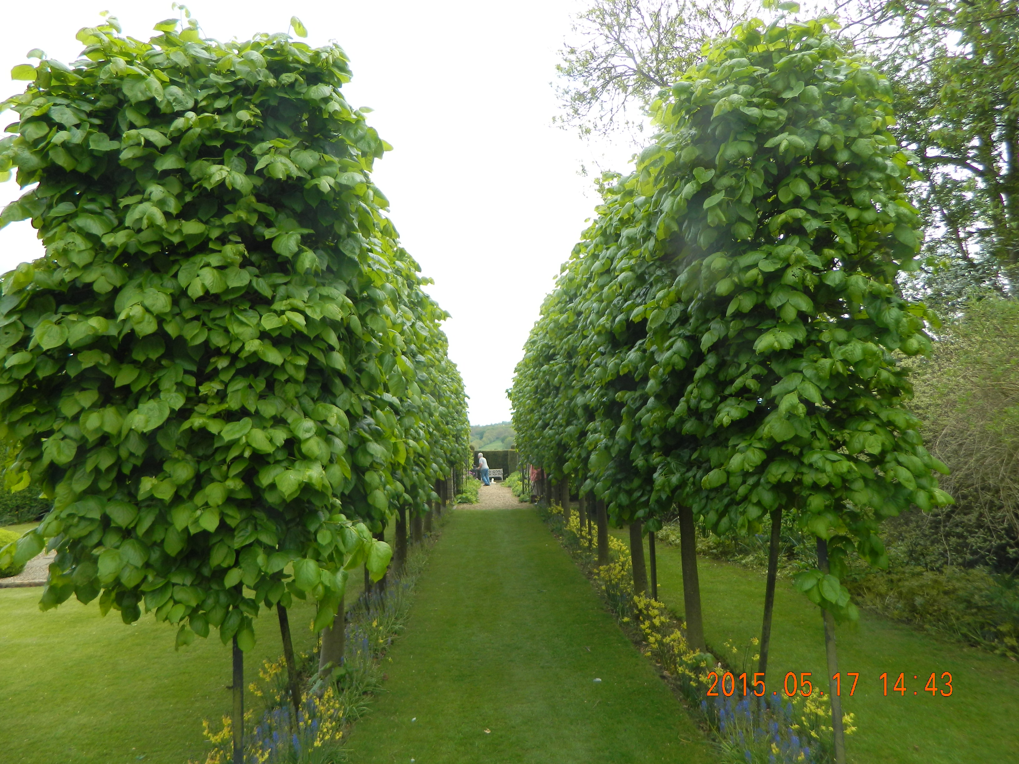 Manton Grange - Manton