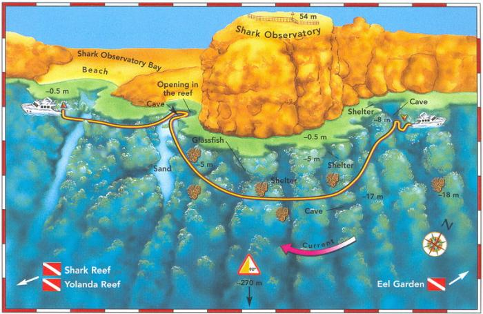 Shark Observatory dive site