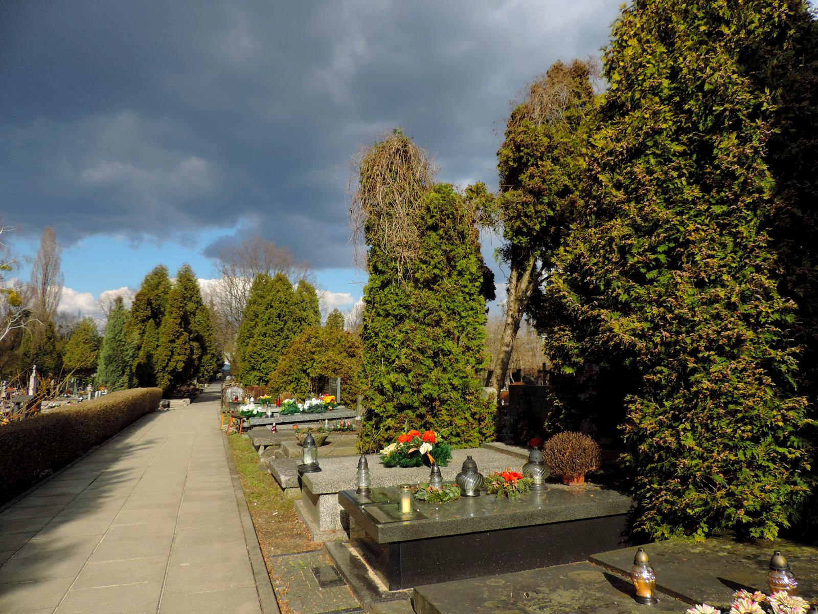 The tomb of Jonasz Kofta - Warsaw