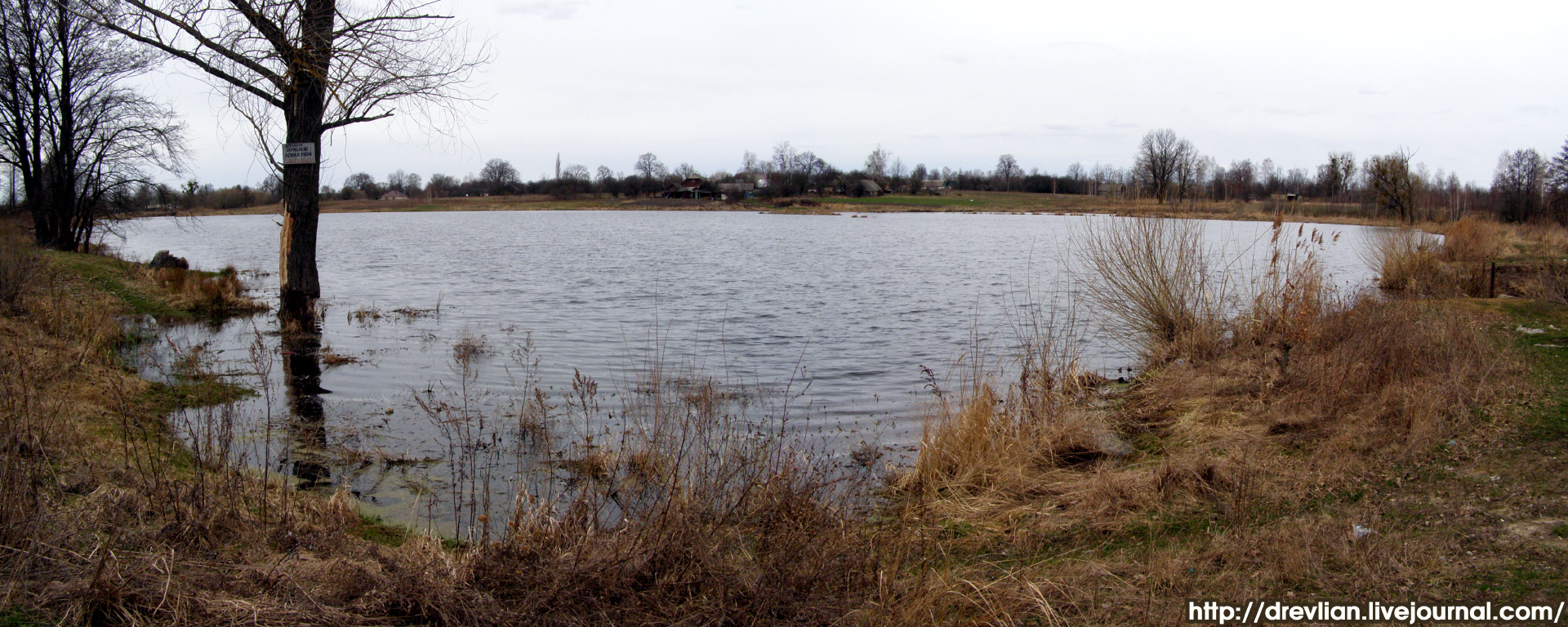 Pond - Kozhukhivka