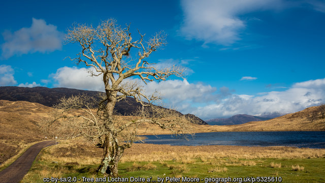 Lochan Doire a' Bhraghaid