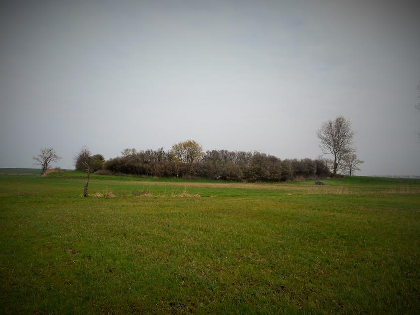 Hillfort - Naczęsławice