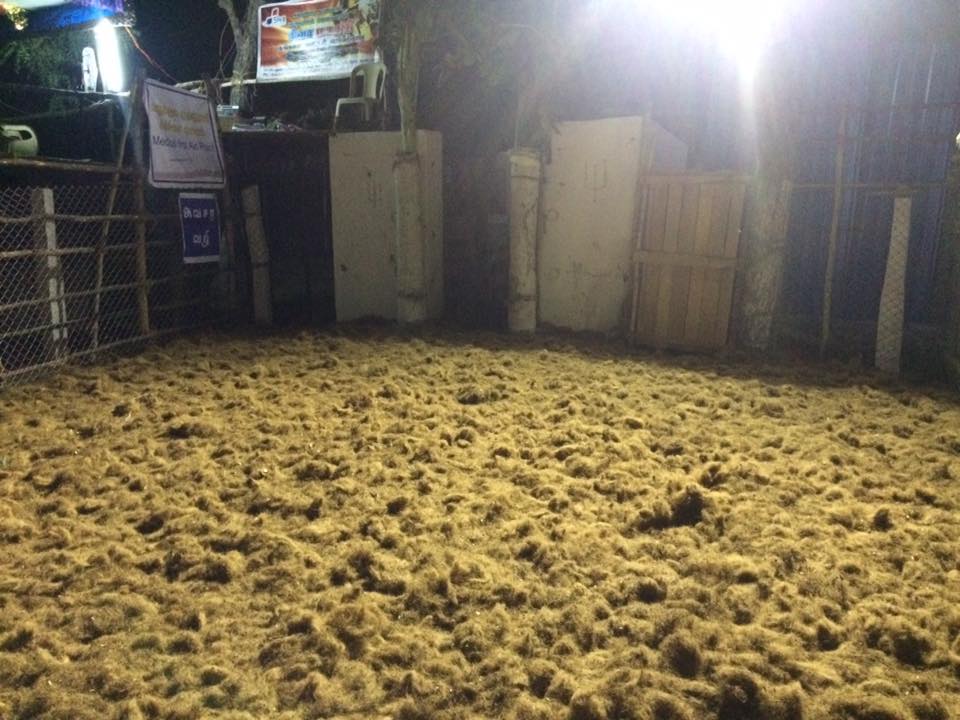 Chinnasamy Kovil Temple Mangalrevu | place with historical importance ...