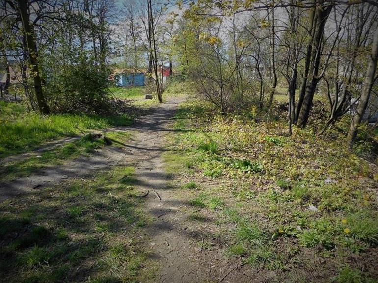 Stary cmentarz żydowski - Prudnik | opuszczone miejsce, cmentarz ...