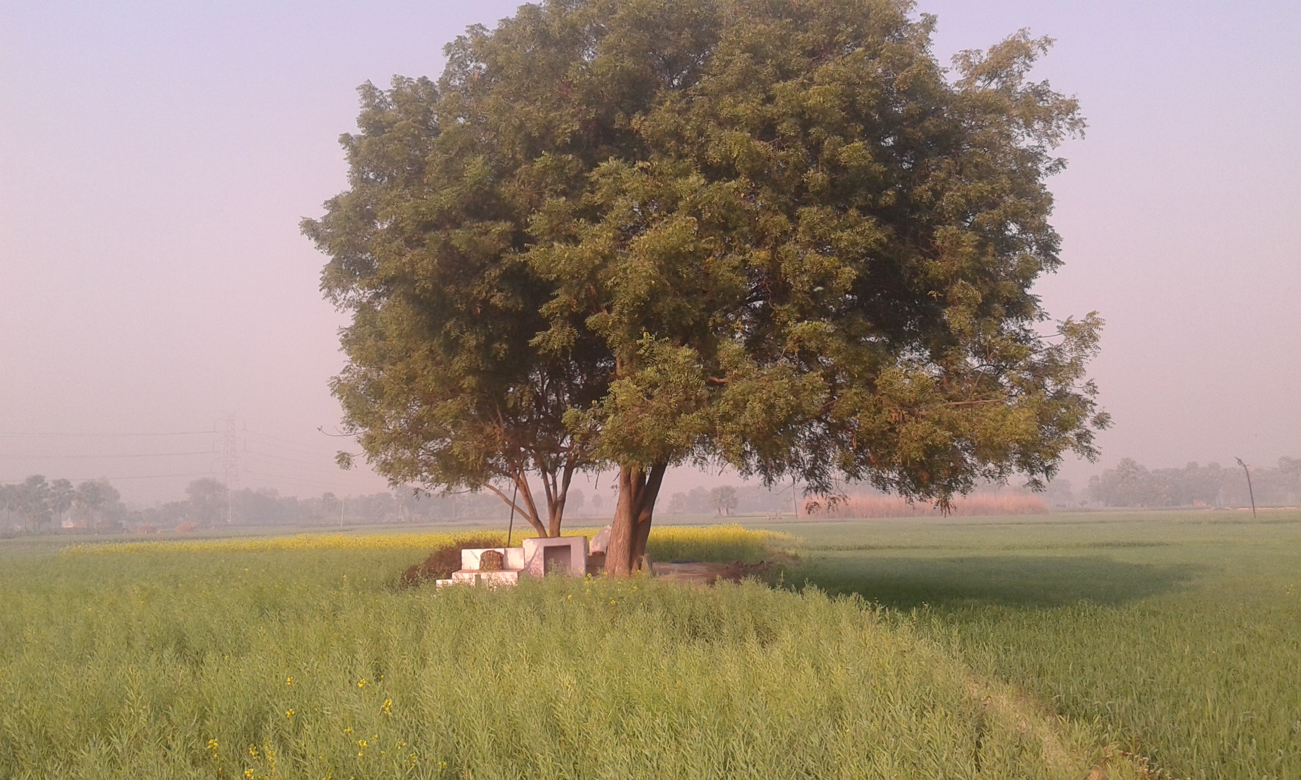 Jagadmba Sthan - Maniyawan