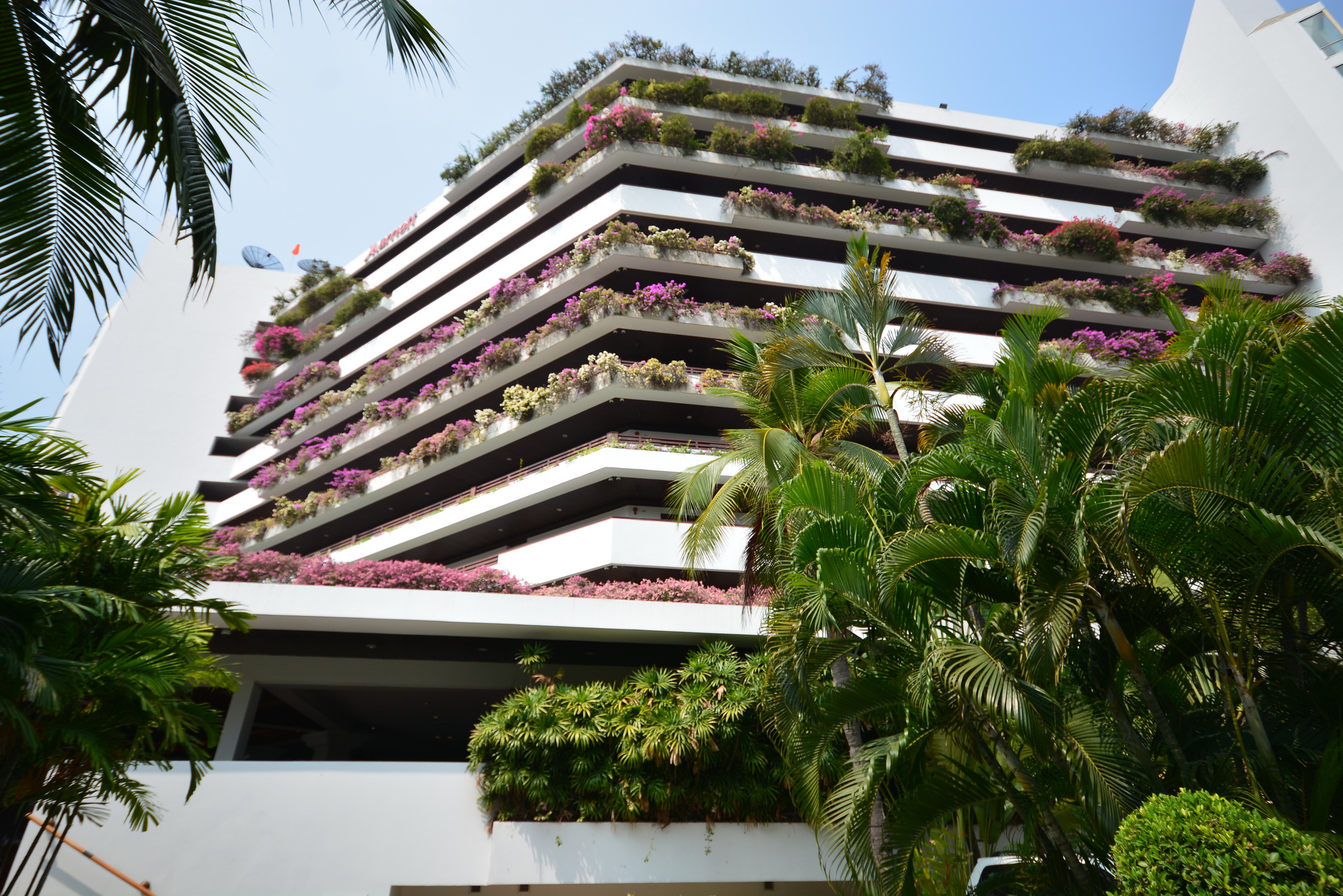 Main wing - Pattaya City