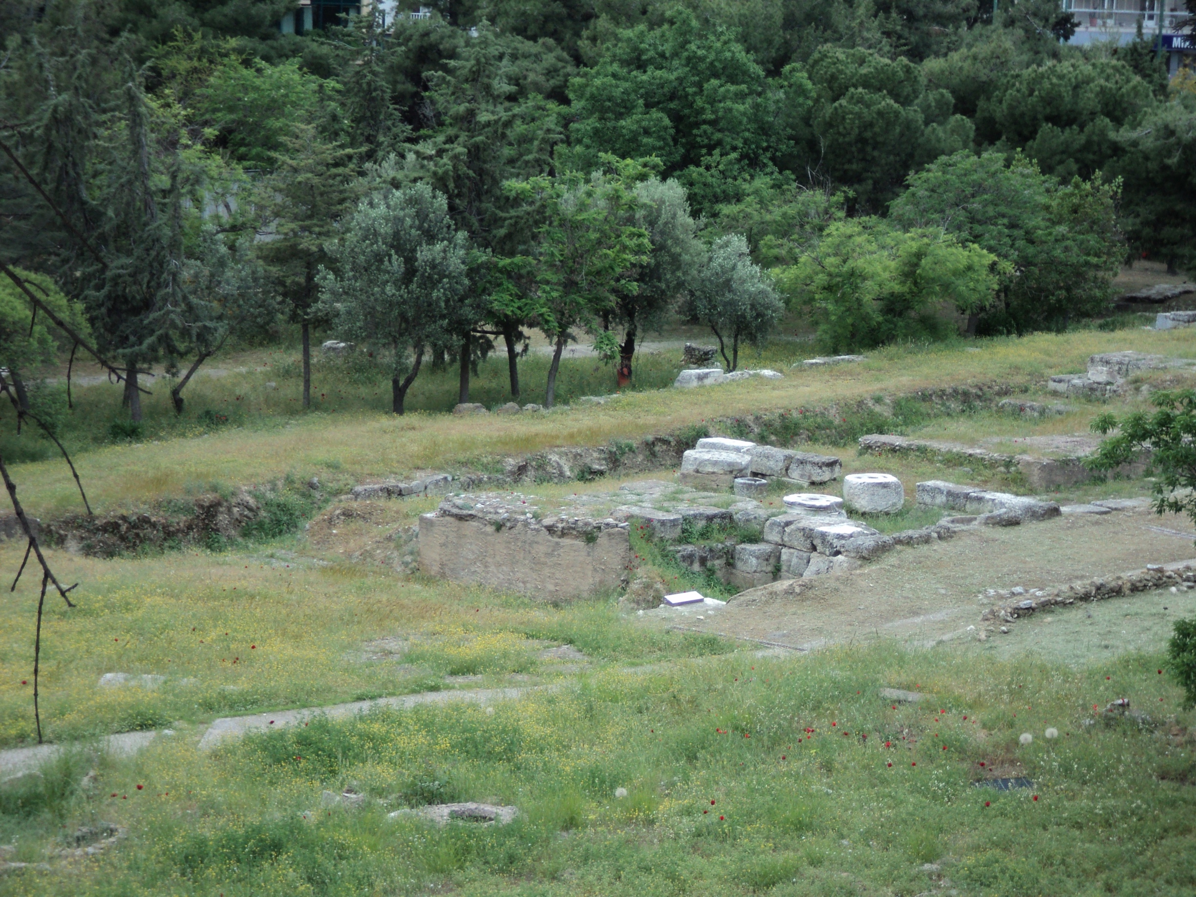 Temple of Apollo Delphinius - Athens