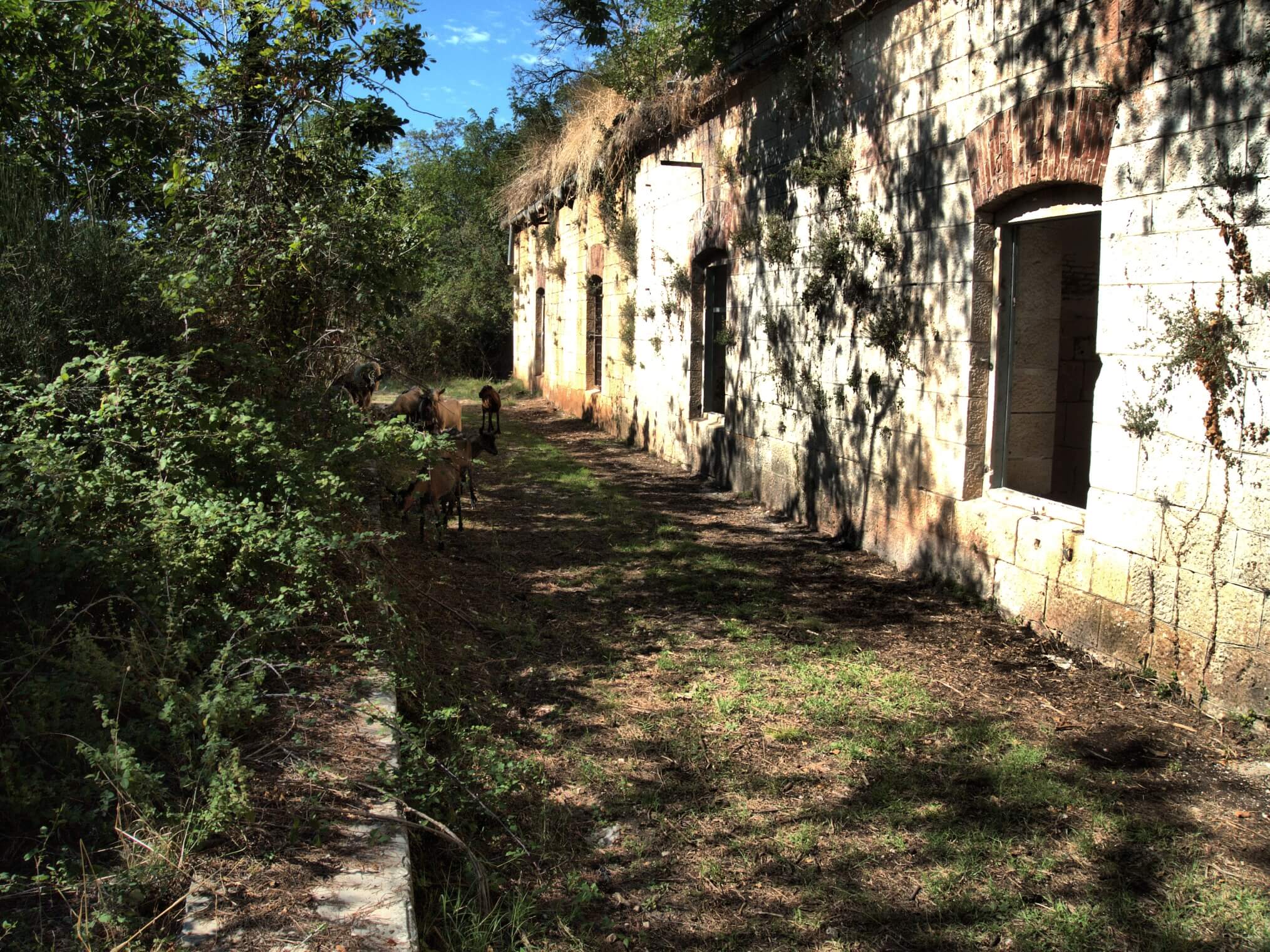 Fort San Daniele