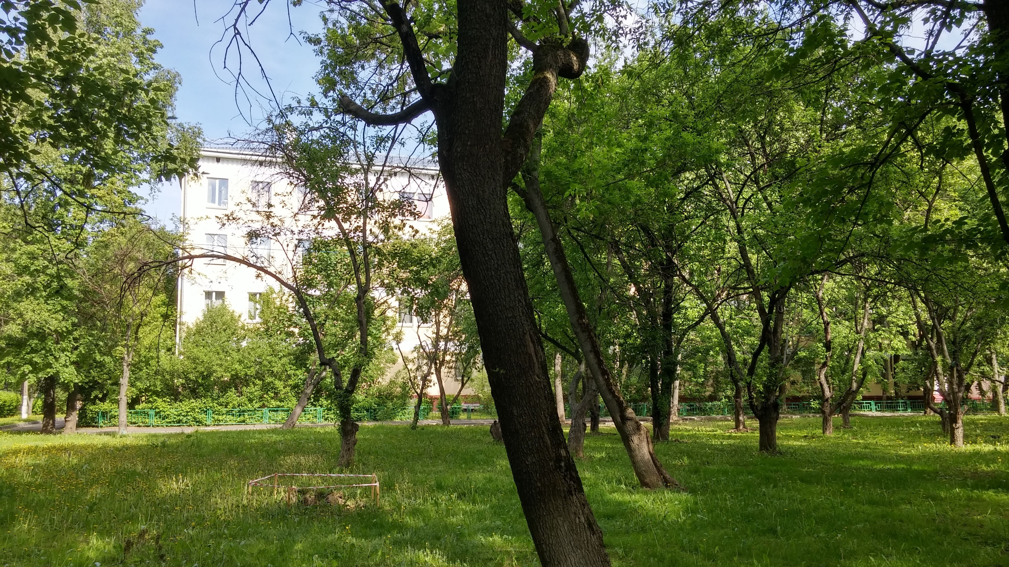 School № 56 - Moscow