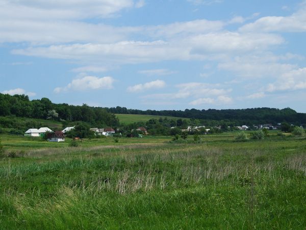Hirne