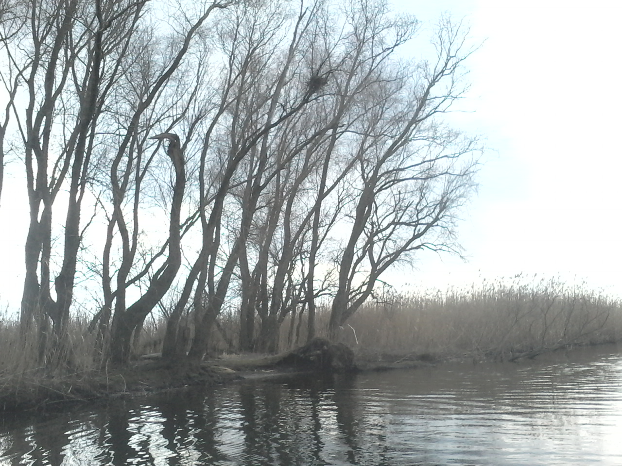 Durna Strait | lake, water, strait / channel / passage / narrows