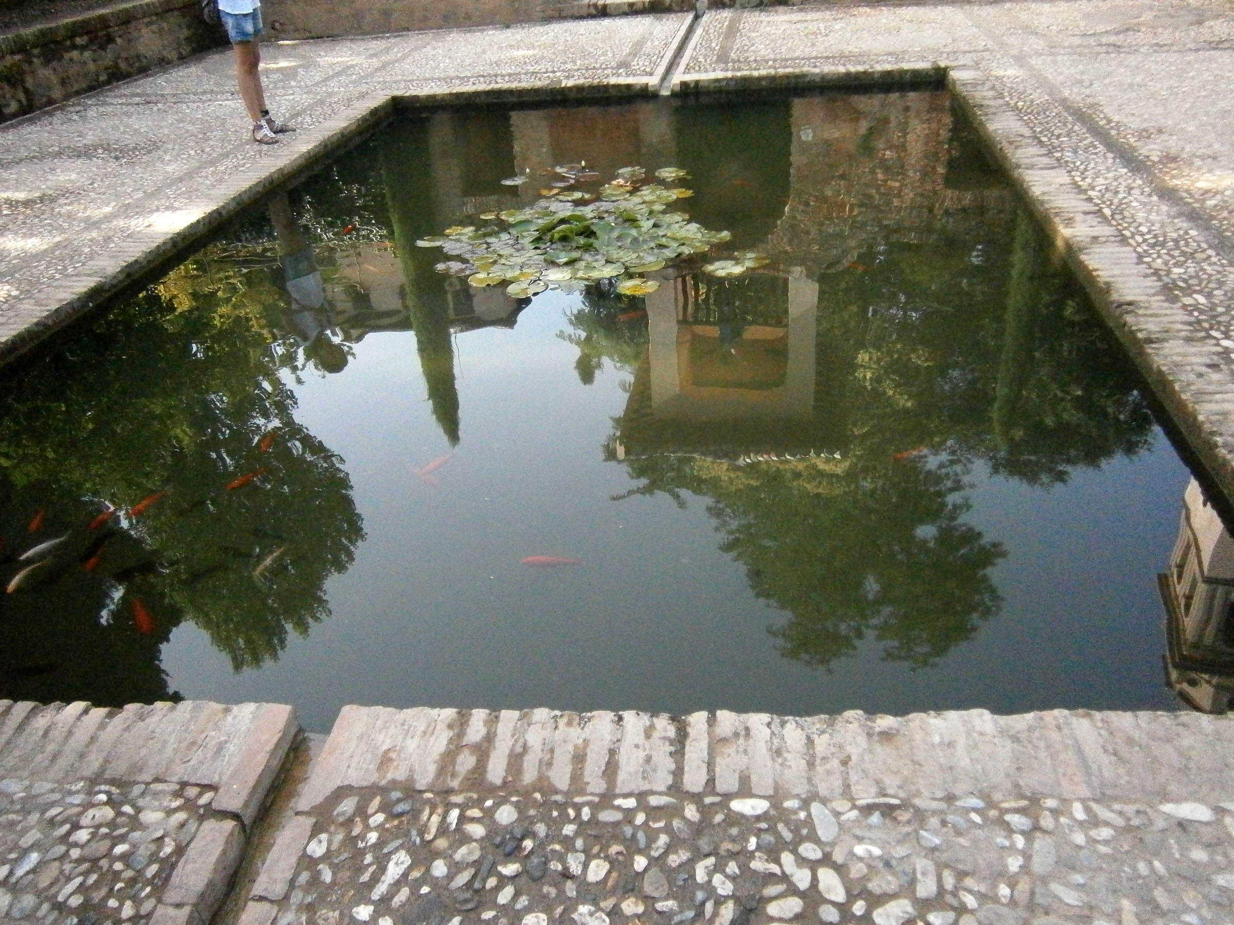 Pool in front of the Ladies' Tower (Torre de las Damas) - Granada