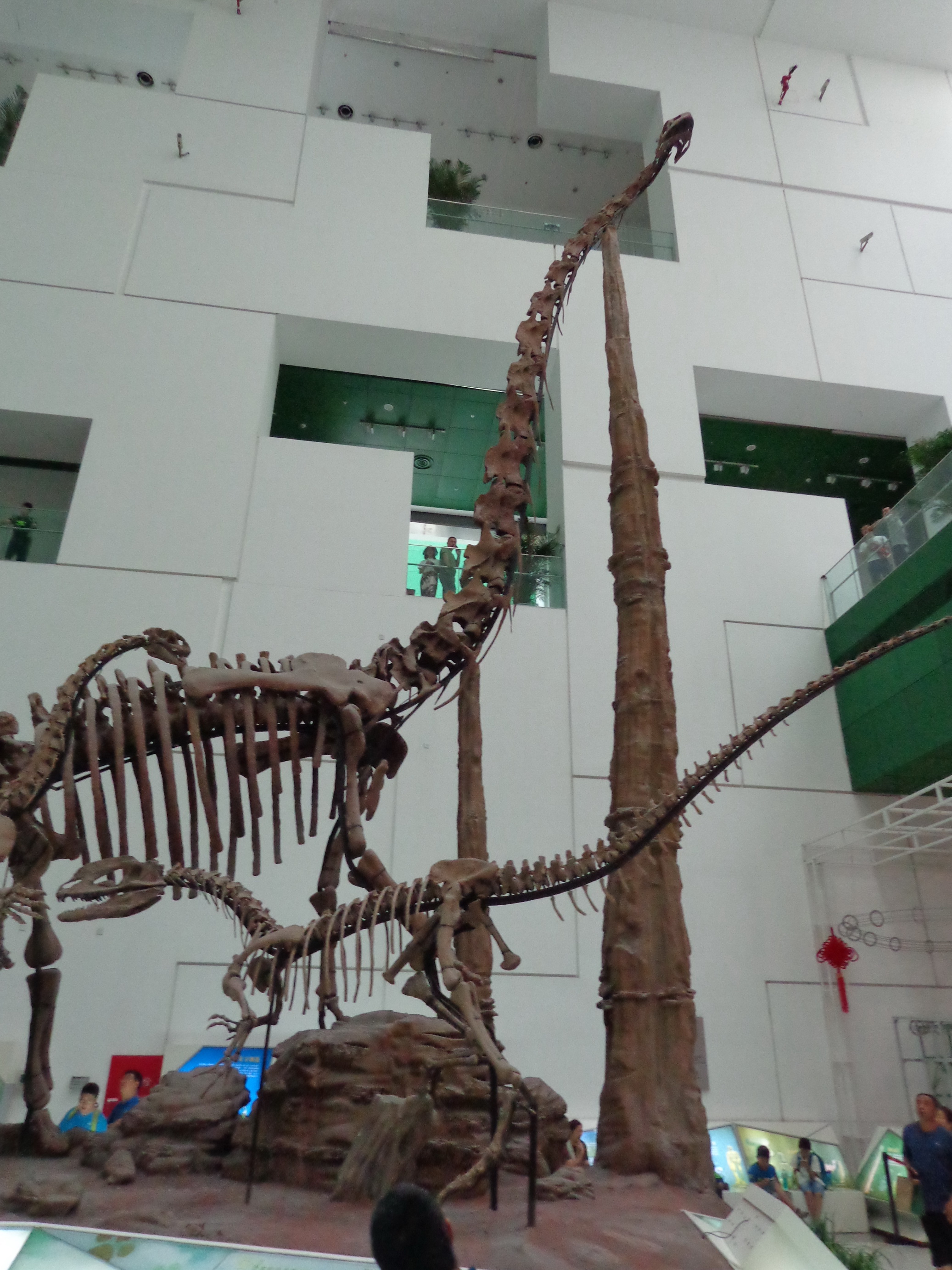 China Science and Technology Museum - Beijing