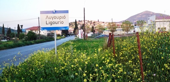 Lygourio