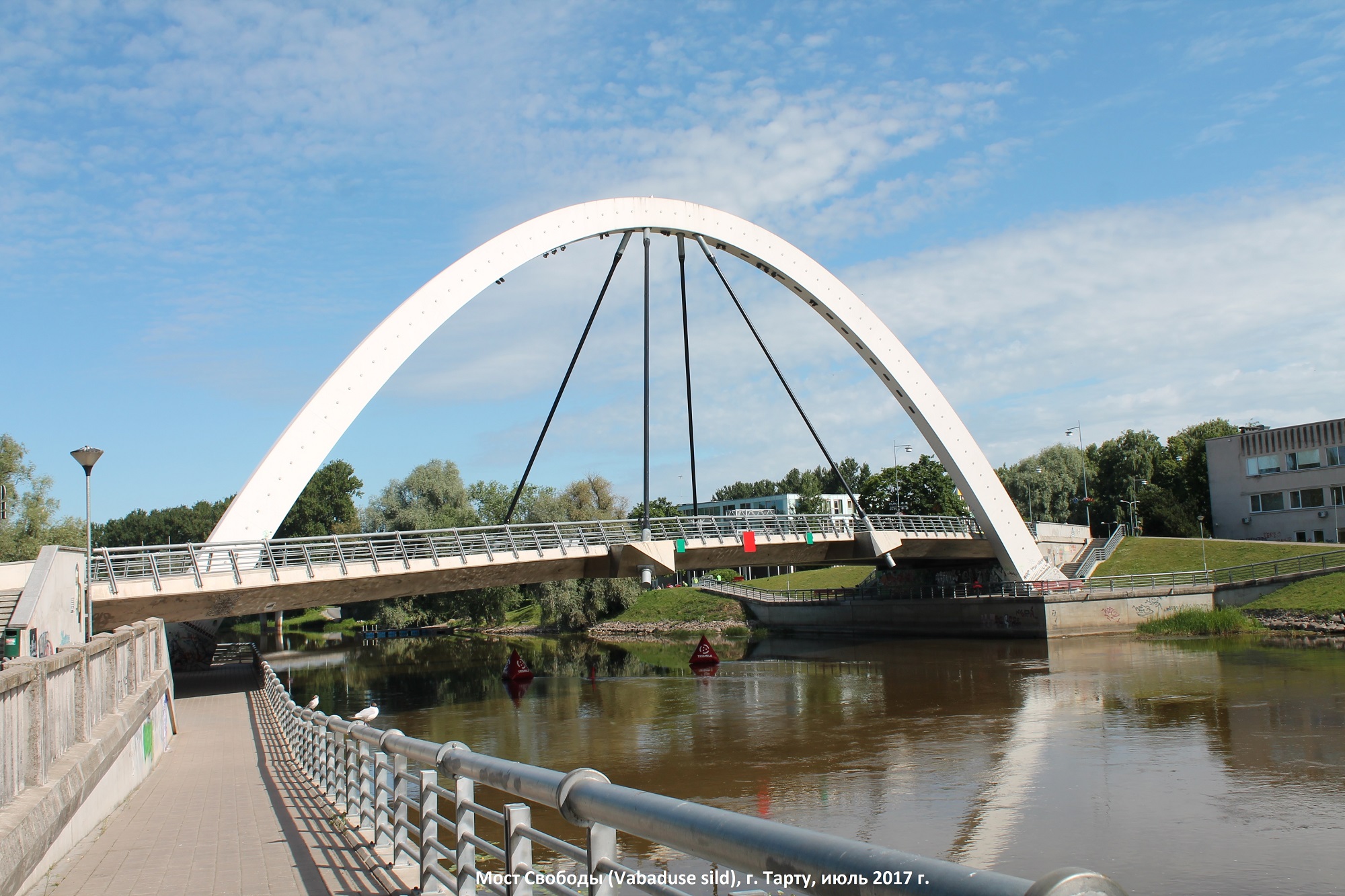 Freedom Bridge - Tartu