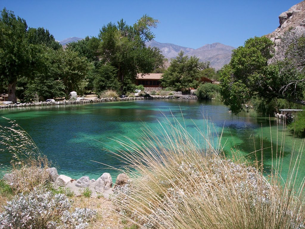 Trout fishing-Whitewater