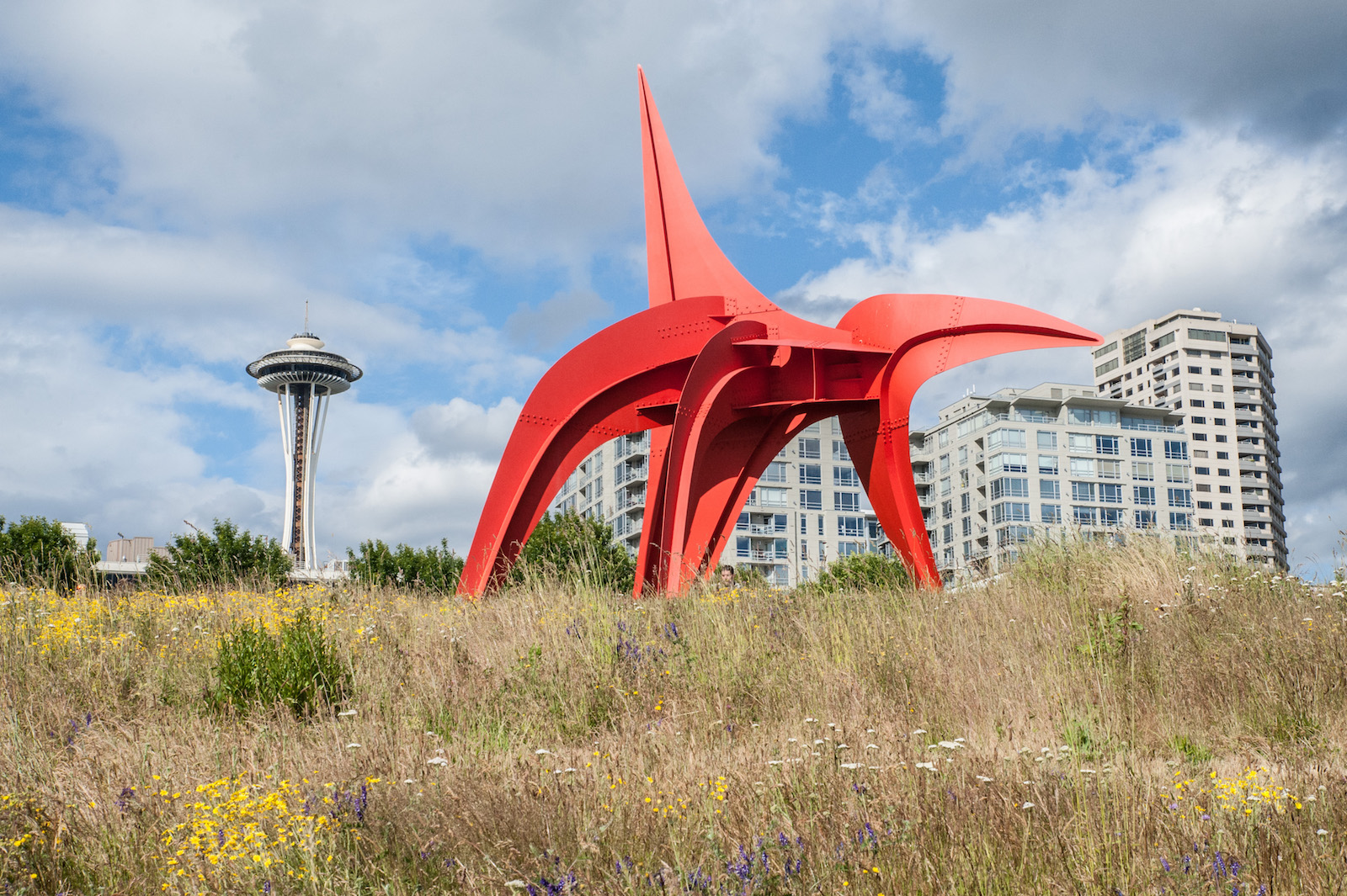 Eagle - Seattle, Washington