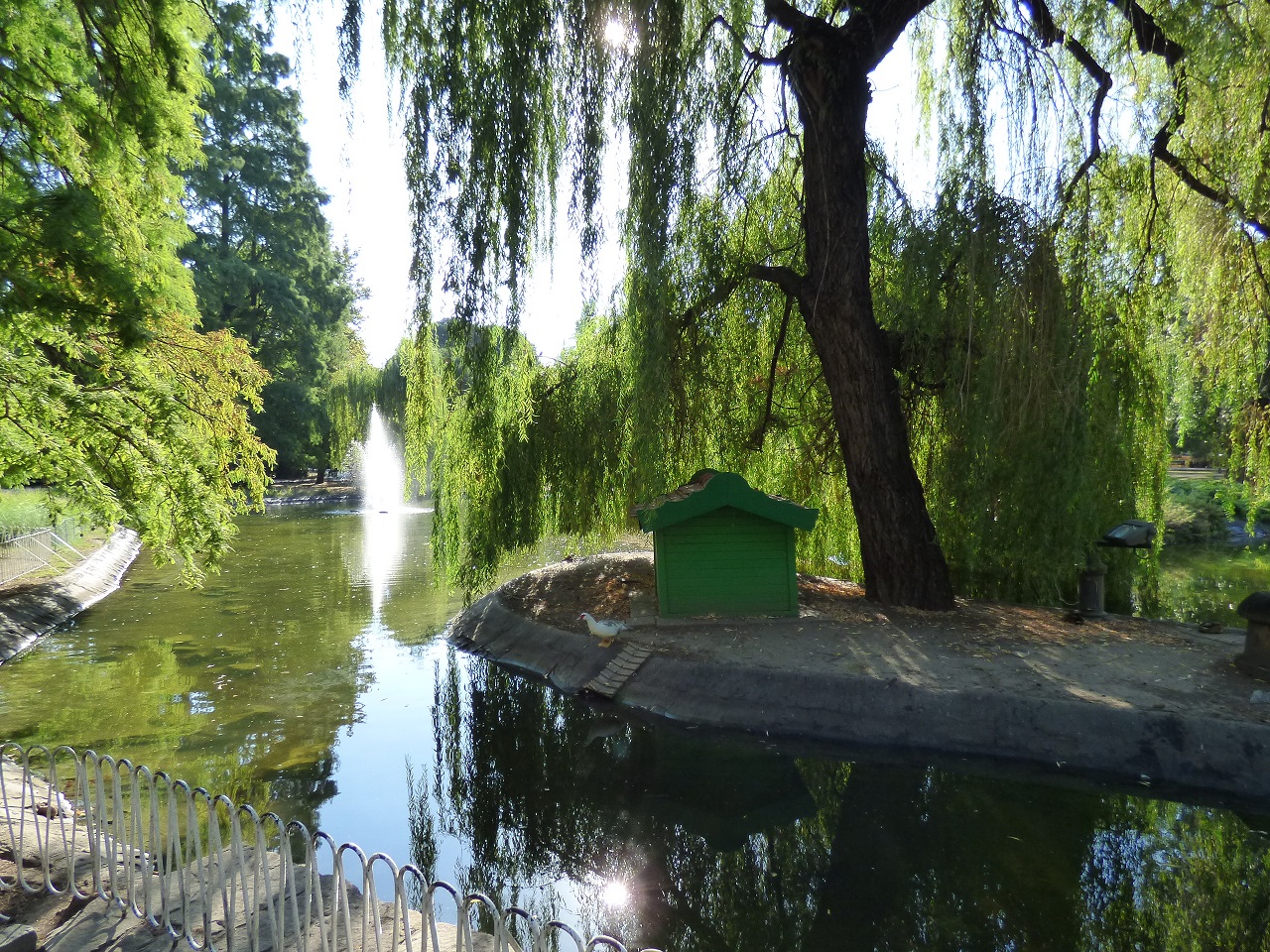 Danube park - Novi Sad